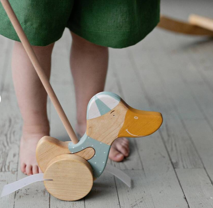 Why Push and Pull Toys Are Essential for Your Little One's Growth ...