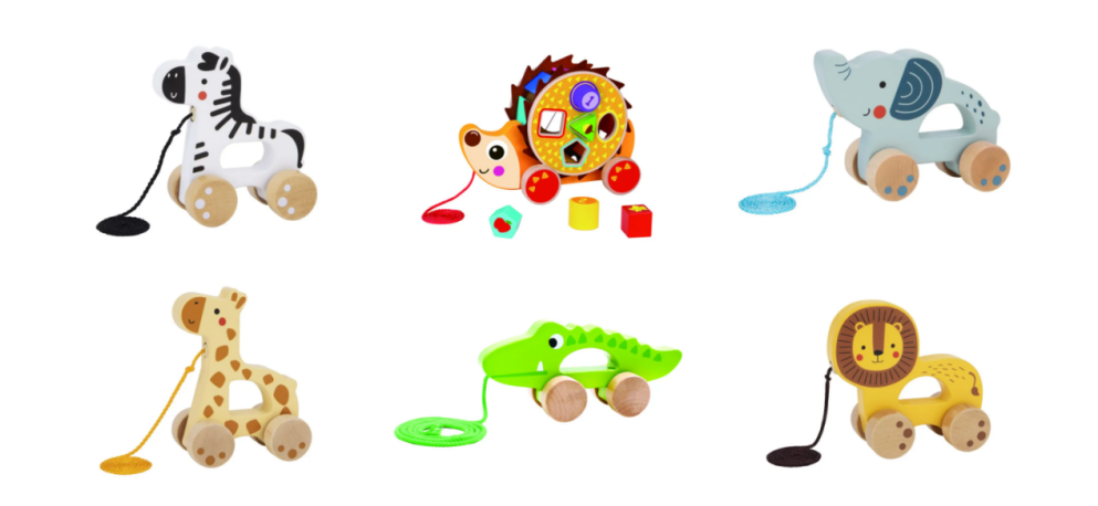 Why Push and Pull Toys Are Essential for Your Little One's Growth ...